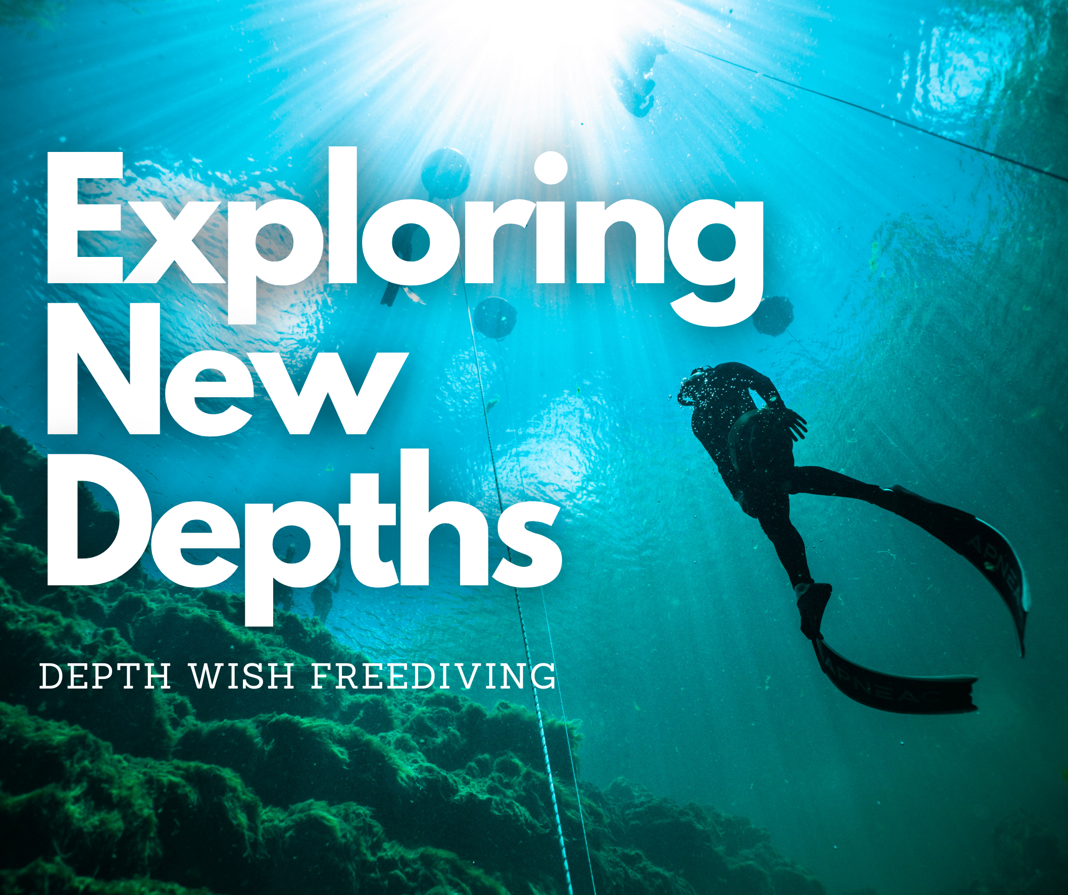 Exploring New Depths | Depth Wish Freediving – Florida Springs Passport
