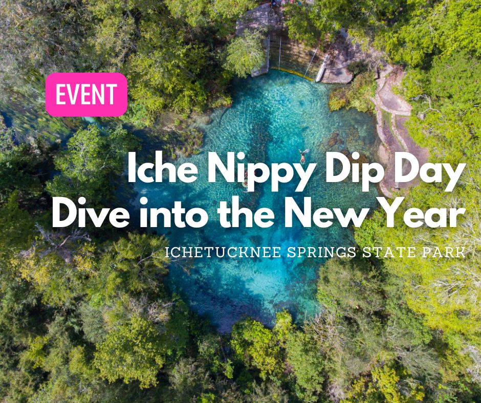 Iche Nippy Dip Day | Dive into the New Year – Florida Springs Passport