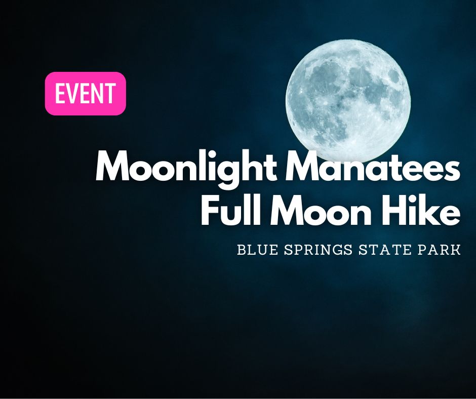 Moonlight Manatees | Full Moon Hike – Florida Springs Passport