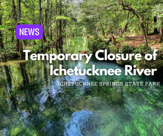 Temporary Closure of the Ichetucknee River – Florida Springs Passport