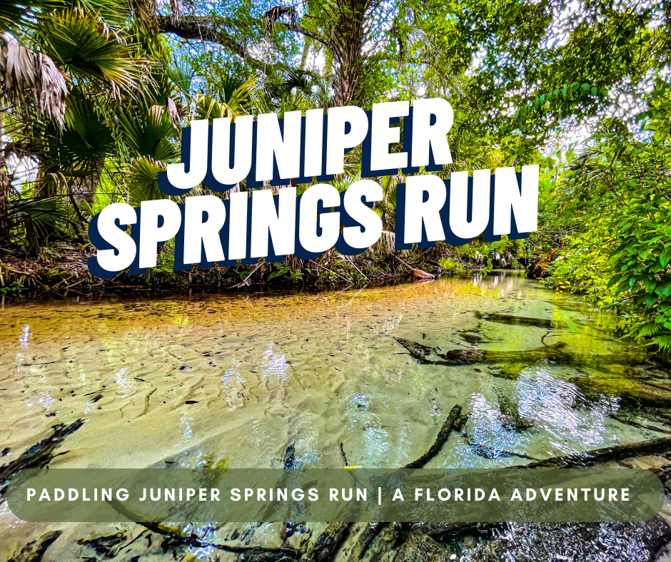 Paddling Juniper Springs Run | A Florida Adventure – Florida Springs ...