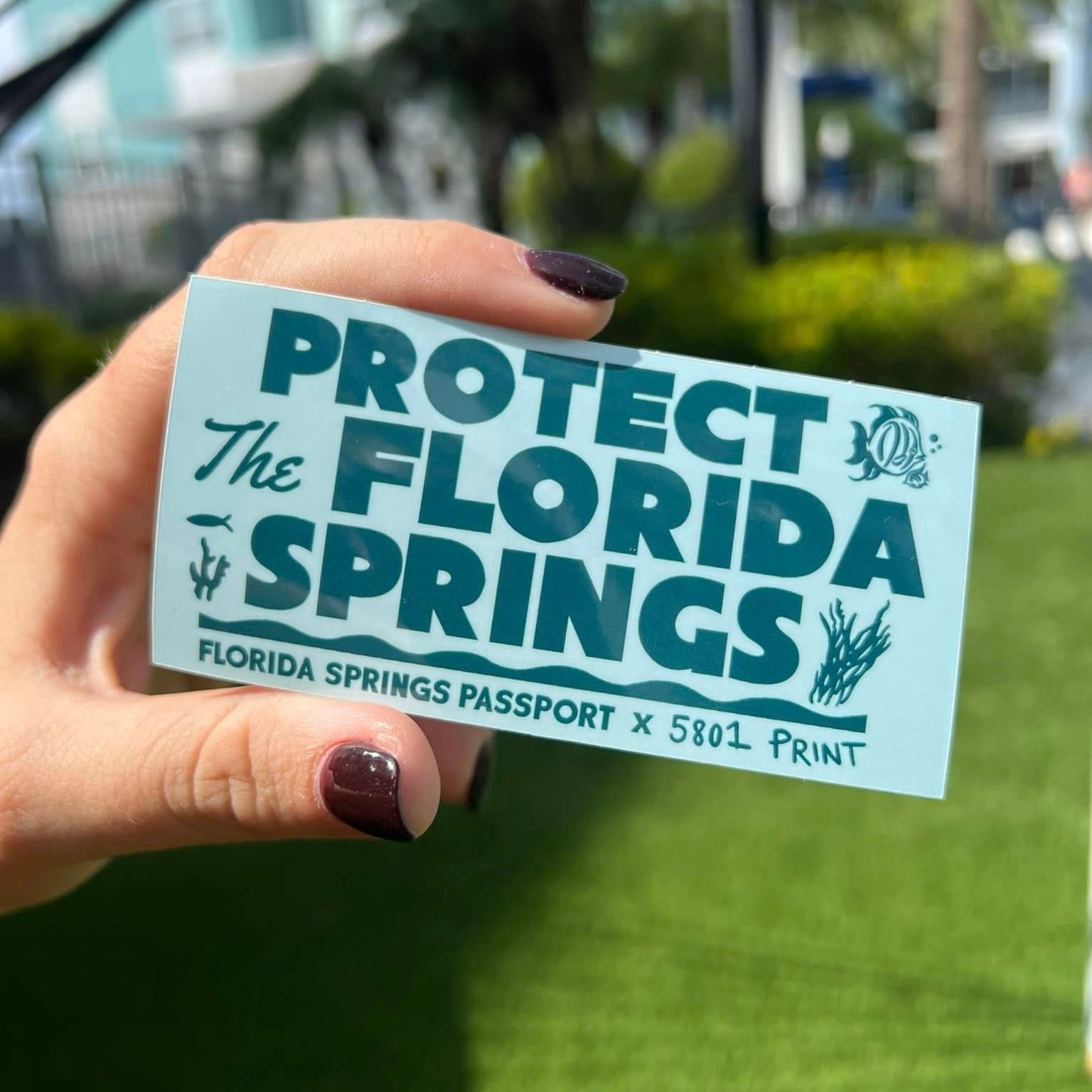 Protect The Florida Springs Sticker – Florida Springs Passport