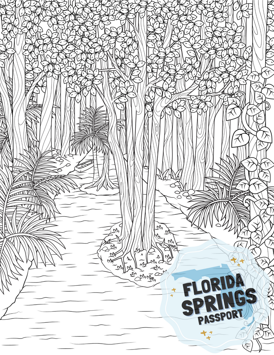 Florida Springs Coloring Pages – Florida Springs Passport Florida Springs Coloring Pages – Florida Springs Passport