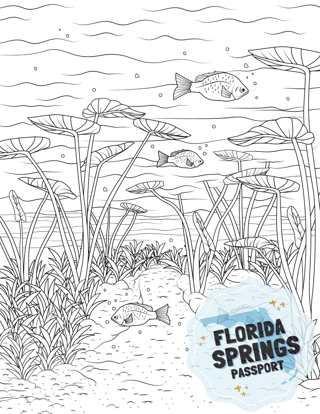 Florida Springs Coloring Pages – Florida Springs Passport Florida Springs Coloring Pages – Florida Springs Passport