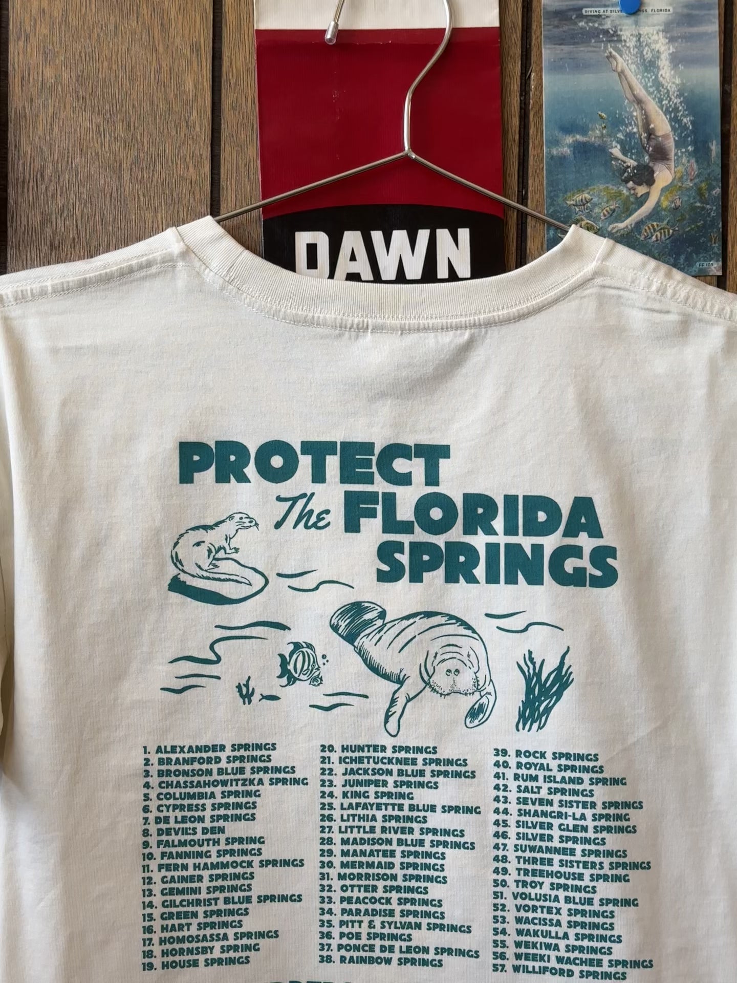 Protect the Florida Springs Tee – Florida Springs Passport