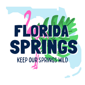 Florida Springs Passport